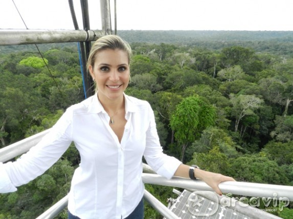 Estreia hoje novo Mapa Tempo do 'Jornal Nacional' - Portal Área VIP