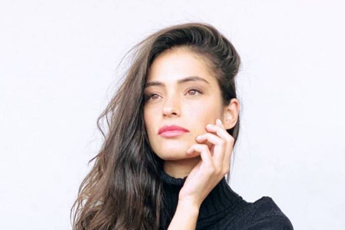 Cynthia Senek relata momentos de terror durante volta para o Brasil ...