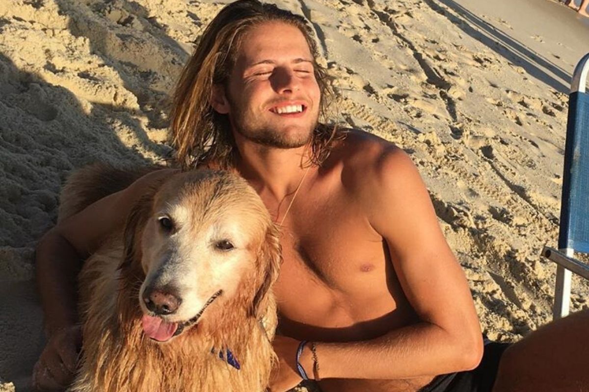 Daniel, do 'BBB 20', revela desejos de ajudar animais abandonados na ...