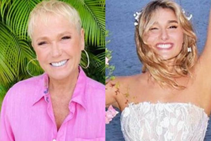 Xuxa Meneghel se declara para Sasha após casamento da filha: "Sua ...