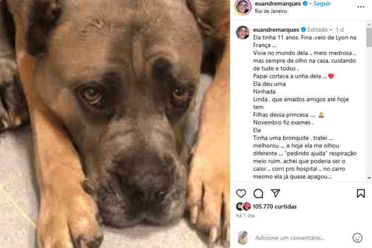 Luto! André Marques faz desabafo após sofrer perda: "O pulmão dela já ...